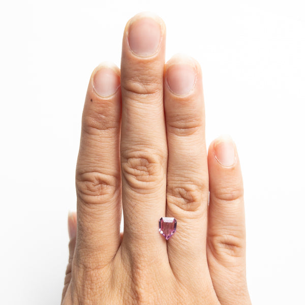 1.09ct 7.93x6.40x2.60mm Shield Step Cut Sapphire 22203-01 - Misfit Diamonds